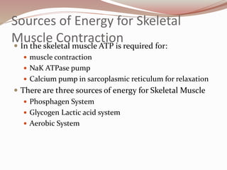 Energetics of Skeletal Muscle Contraction | PPT