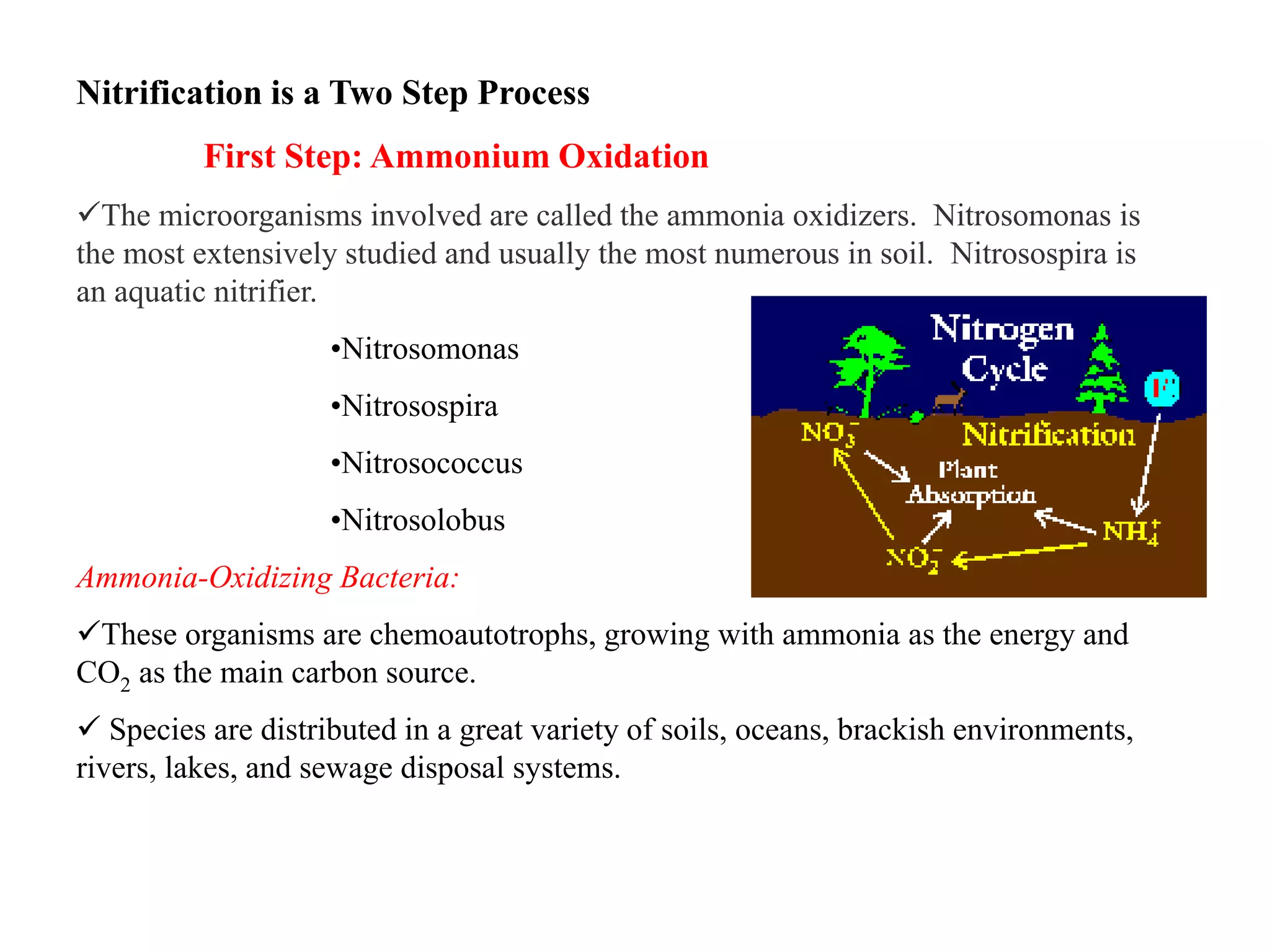 8.2, Bio-transformation and geochemical cycle | PPTX