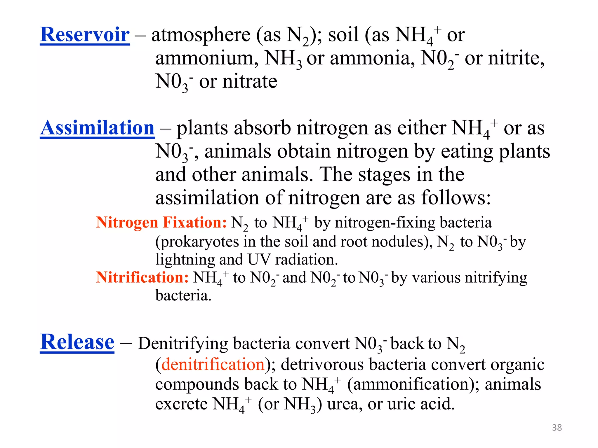 8.2, Bio-transformation and geochemical cycle | PPTX