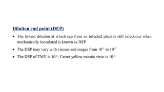 Chemical composition and physical properties of plant viruses | PDF