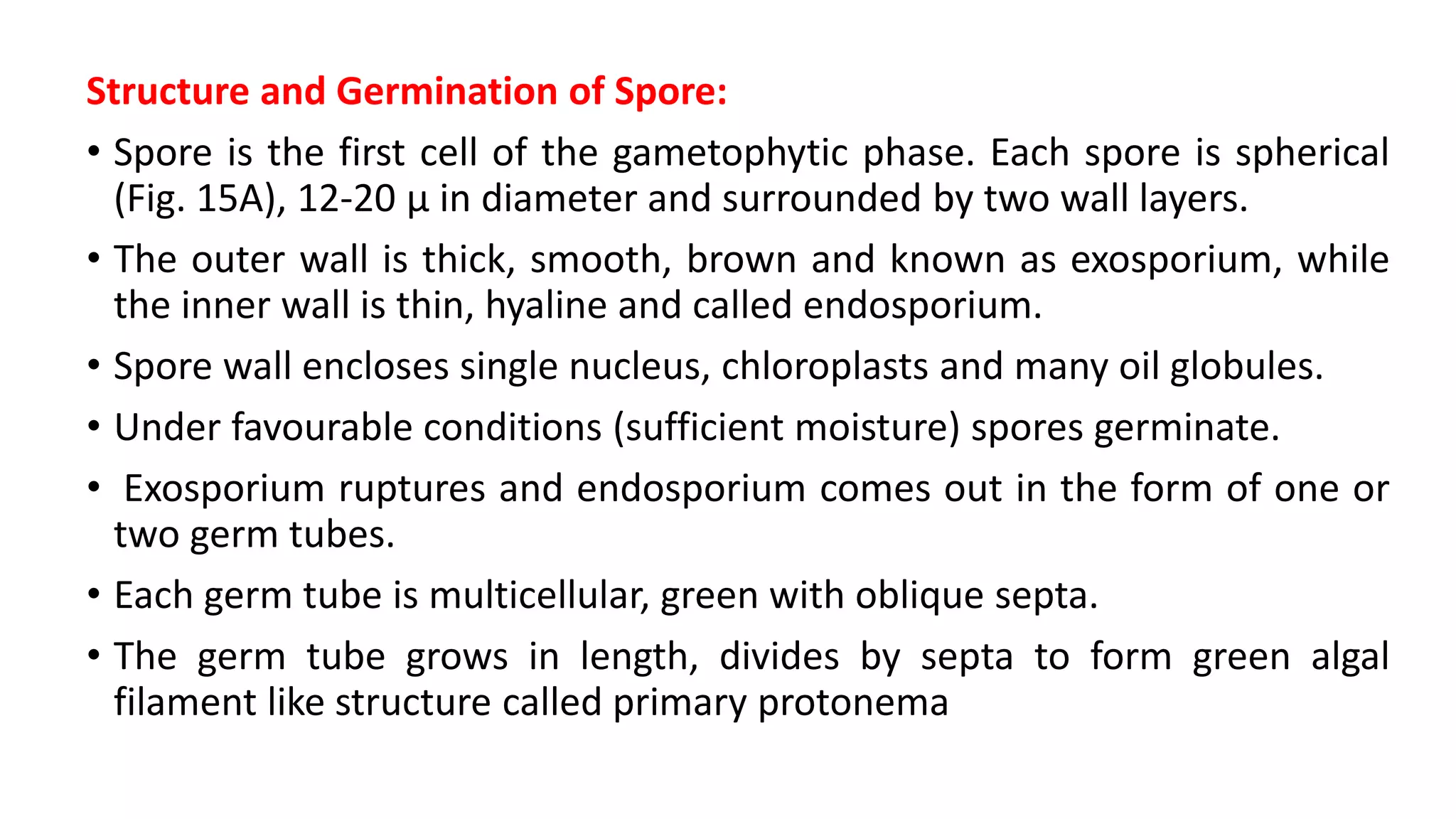 8. Vegetative and sexual reproduction in funaria | PPTX