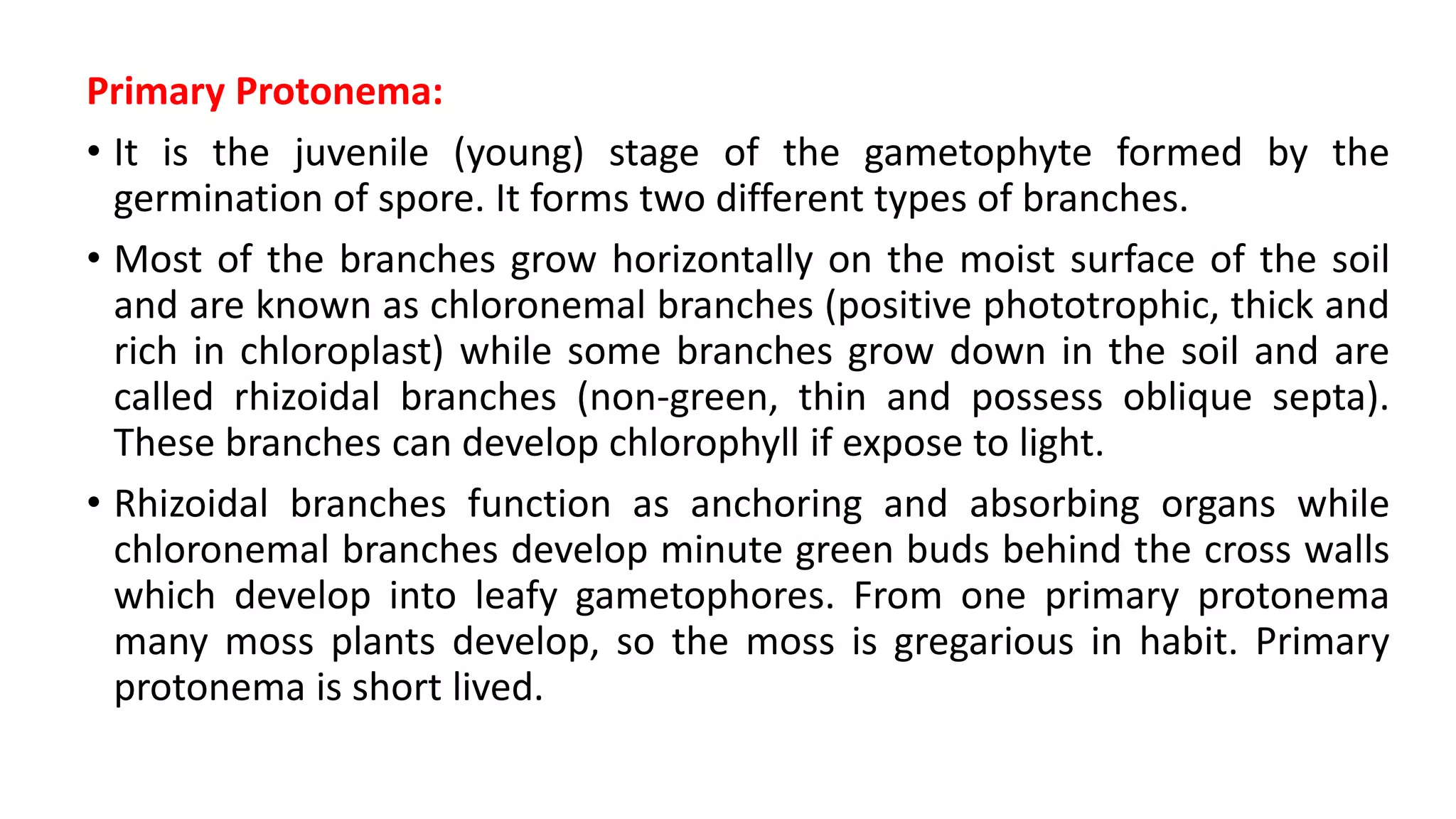 8. Vegetative and sexual reproduction in funaria | PPTX