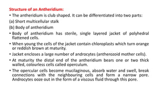 8. Vegetative and sexual reproduction in funaria | PPTX