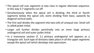8. Vegetative and sexual reproduction in funaria | PPTX