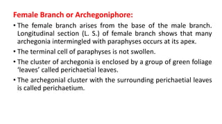 8. Vegetative and sexual reproduction in funaria | PPTX