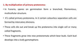 8. Vegetative and sexual reproduction in funaria | PPTX