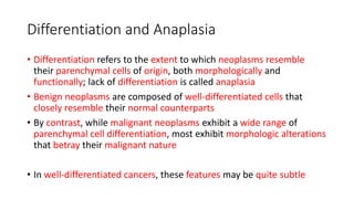 8. neoplasia | PPTX