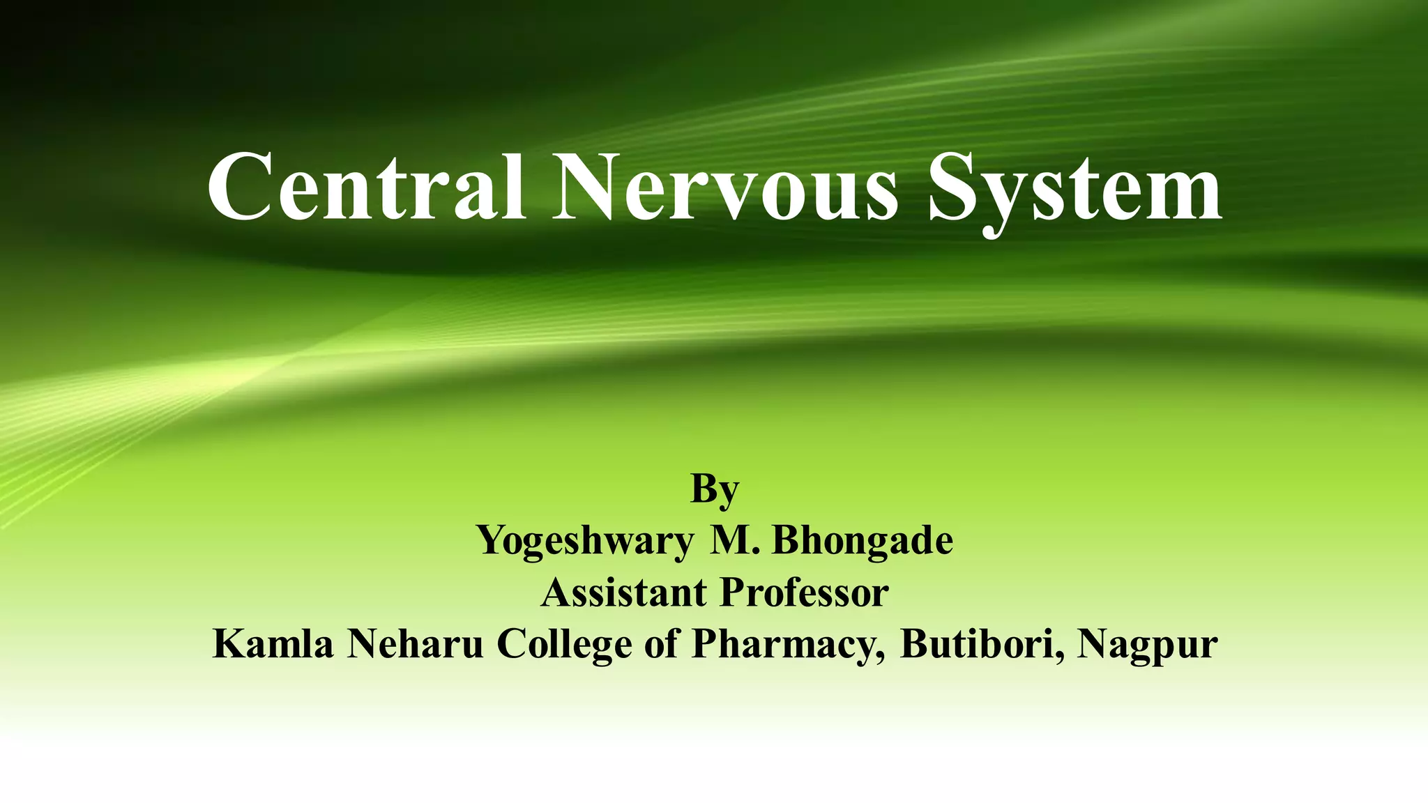 8. Central Nervous System (Human Anatomy and Physiology) | PDF