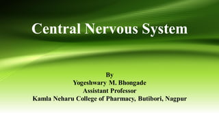 8. Central Nervous System (Human Anatomy and Physiology) | PDF