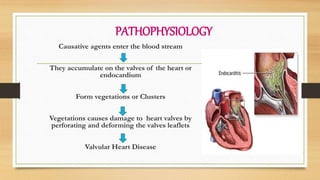 8.endocarditis | PPTX