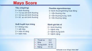 8. diagnosis and treatment ulcerative colitis bs trịnh thị thanh thúy | PPT