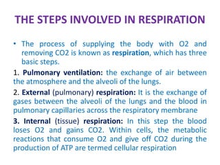 8. respiratory system | PPTX