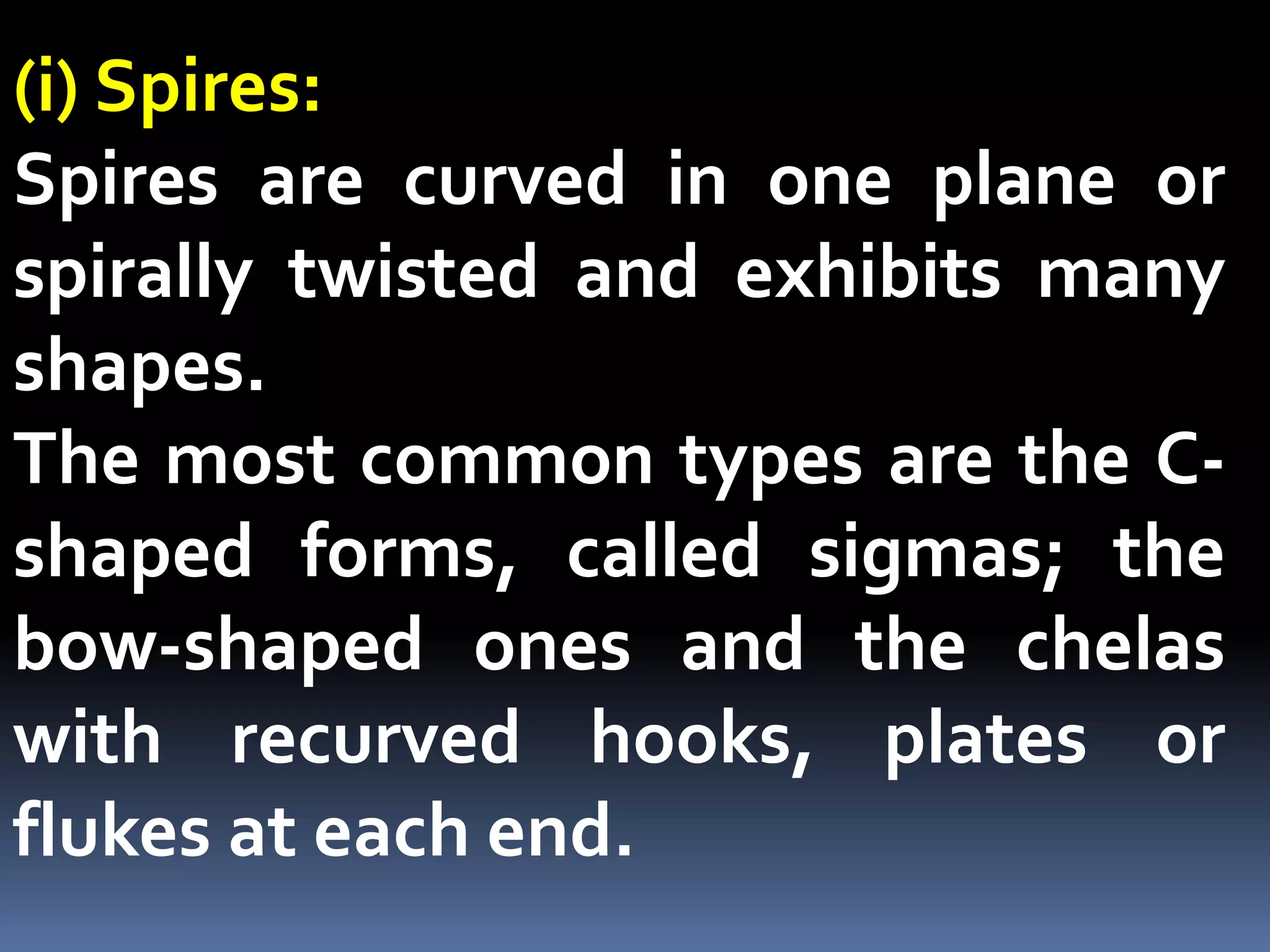Porifera Spicules.pptx