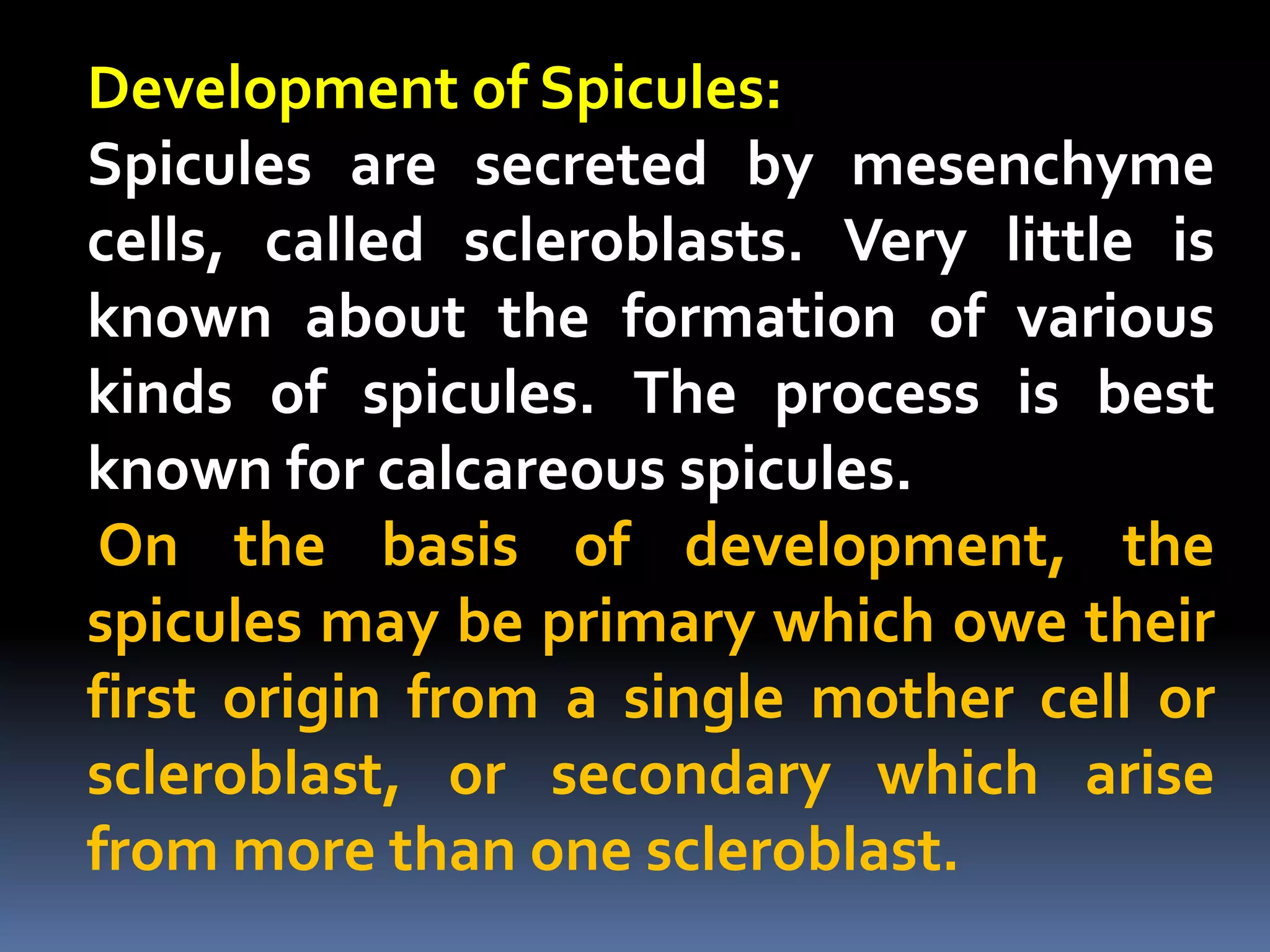 Porifera Spicules.pptx