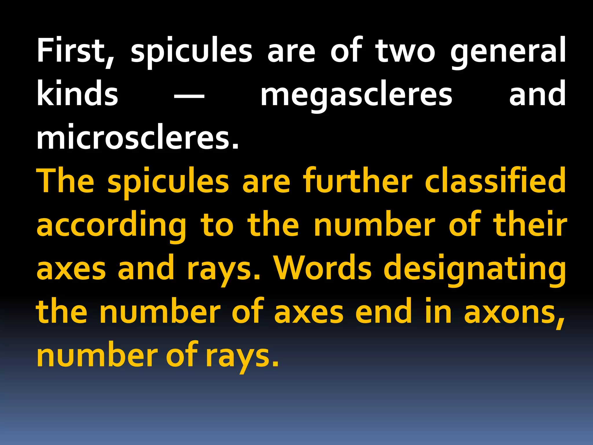 Porifera Spicules.pptx
