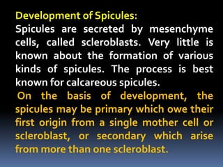 Porifera Spicules.pptx