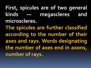 Porifera Spicules.pptx