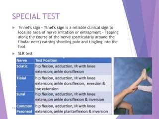 8. COMMON PERONEAL NERVE.pdf