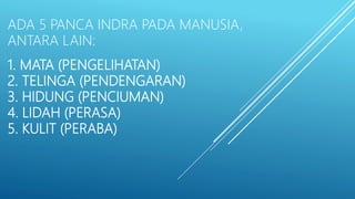 8.SISTEM_INDRA_PADA_MANUSIA_ppt.pptx