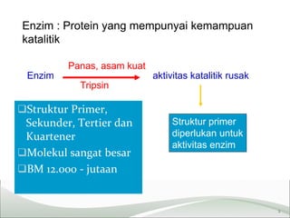 8. Enzyme.ppt | Free Download