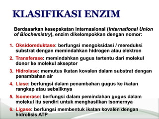 8. Enzyme.ppt