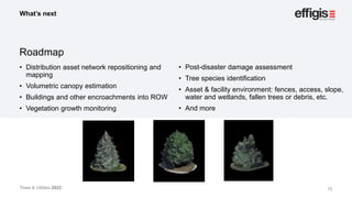 Turning Aerial Imagery into Operational Information for Utility ...