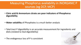 8. David Cadogan - effects Phosphorus digestibility.pptx