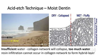 Esthetic Biomaterials and Principles | PPT