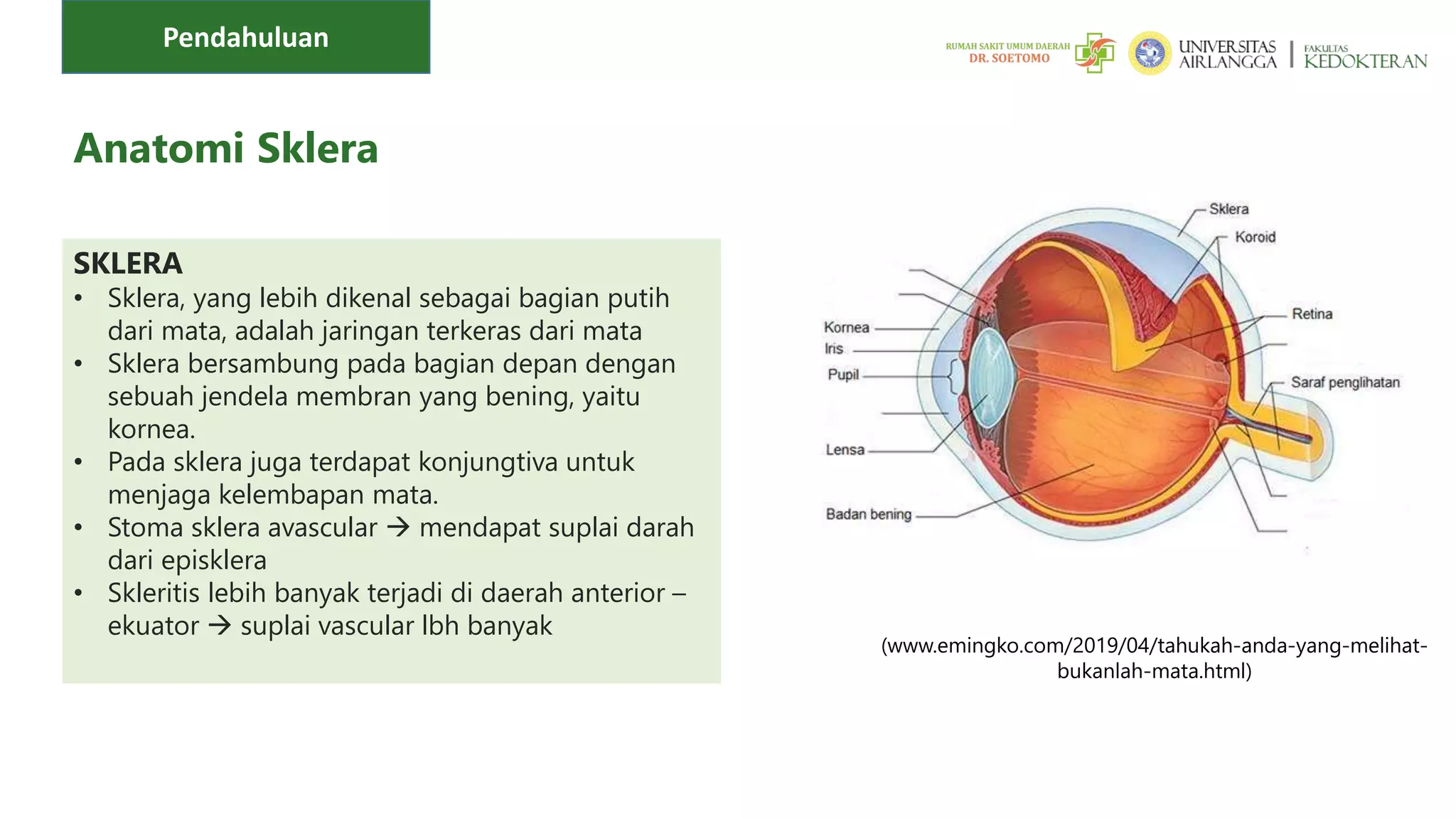 8. PPT Skleritis Episkleritis_Adinda Sandya P._011923143086.pptx
