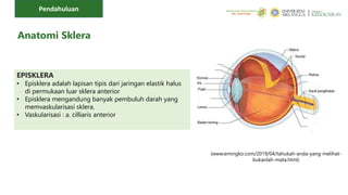 8. PPT Skleritis Episkleritis_Adinda Sandya P._011923143086.pptx