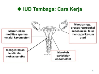 AKDR.ppt