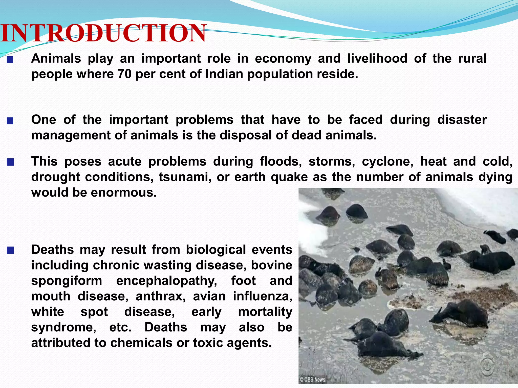 8.DISPOSAL OF ANIMAL CARCASSES DURING NATURAL DISASTERS final.pptx