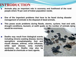 8.DISPOSAL OF ANIMAL CARCASSES DURING NATURAL DISASTERS final.pptx