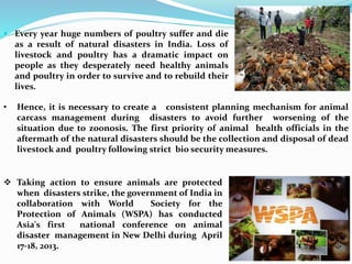 8.DISPOSAL OF ANIMAL CARCASSES DURING NATURAL DISASTERS final.pptx