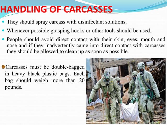 8.DISPOSAL OF ANIMAL CARCASSES DURING NATURAL DISASTERS final.pptx