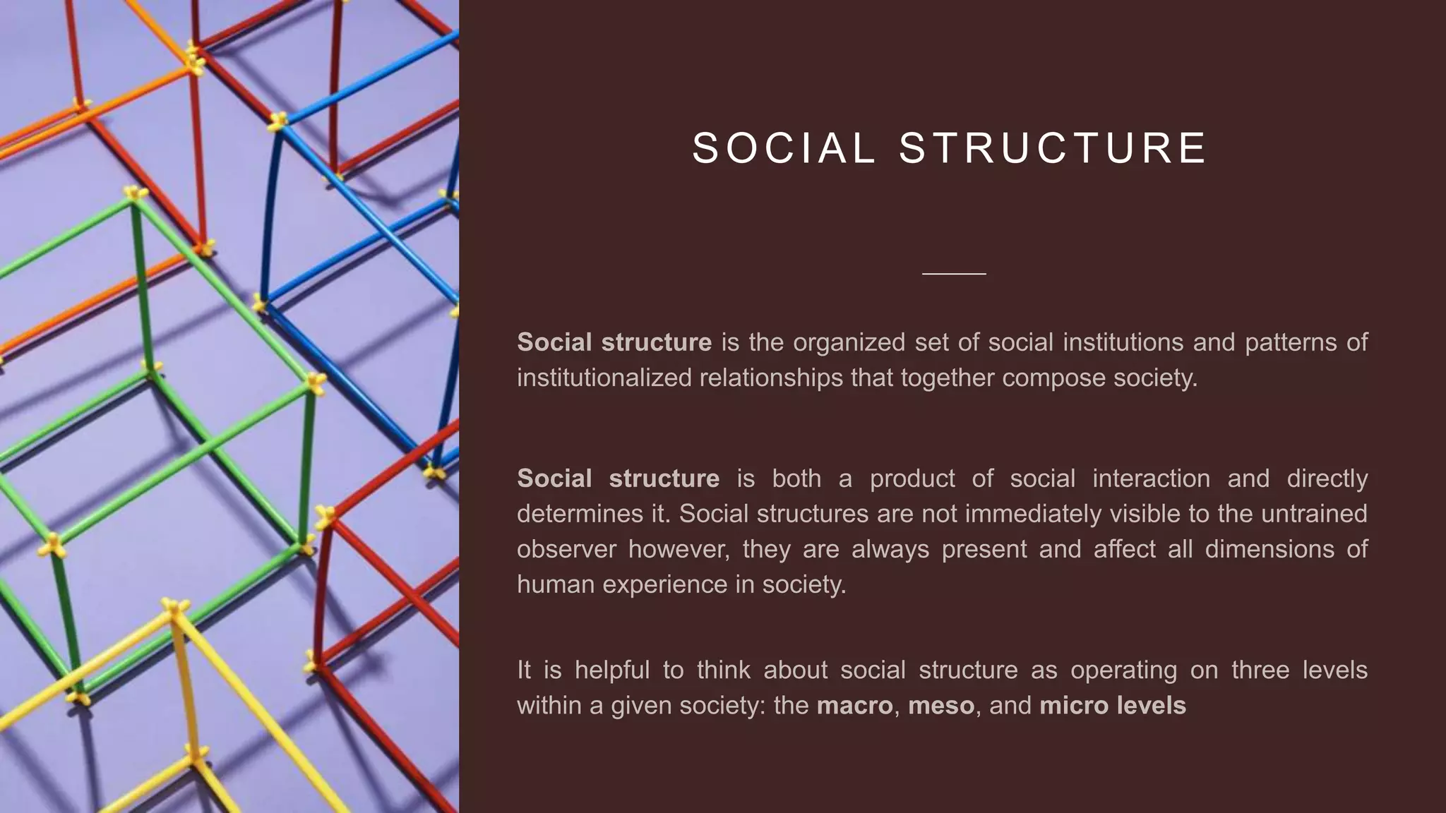 8. Social Structure.pptx