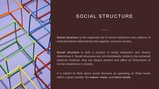 8. Social Structure.pptx