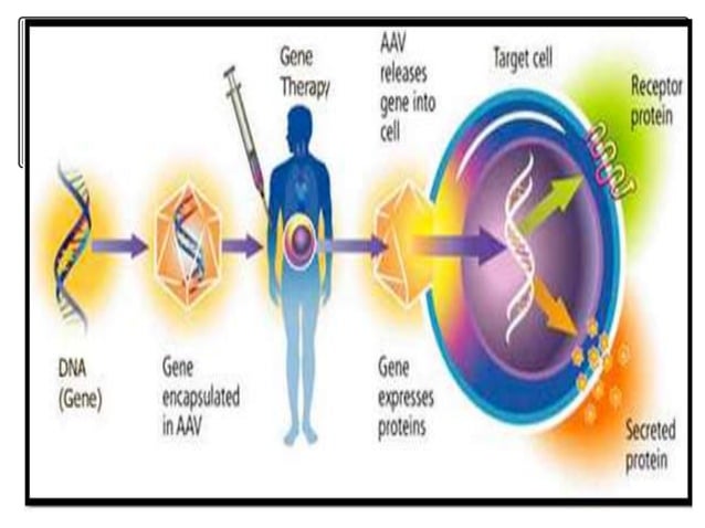 Gene Therapy drugs-1.pptx