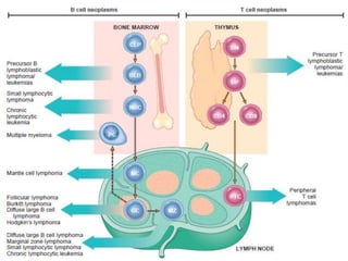 8. White Cell Disorders.pptx