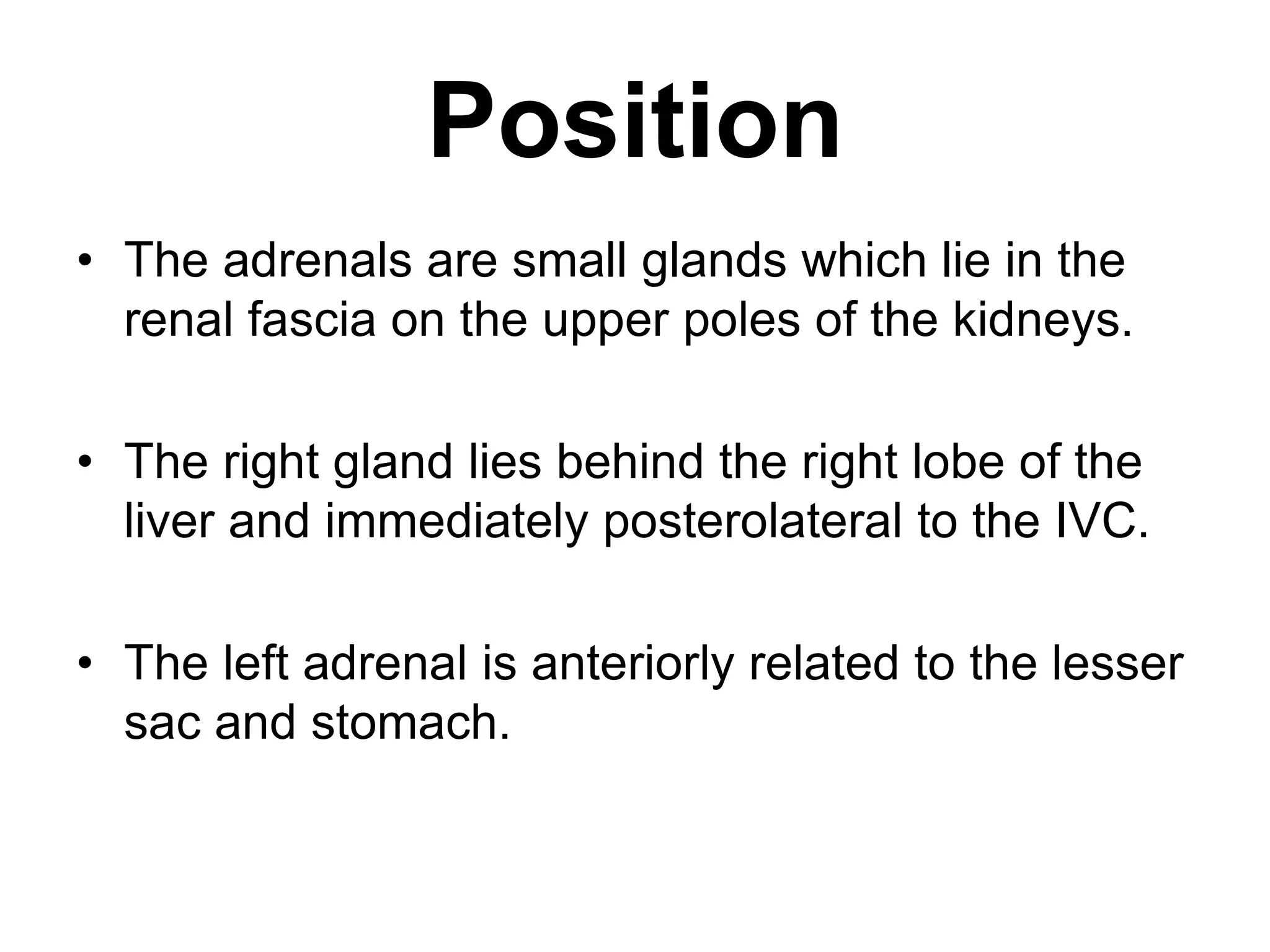 8.Posterior abdominal wall and Retroperitoneal Organs.pptx