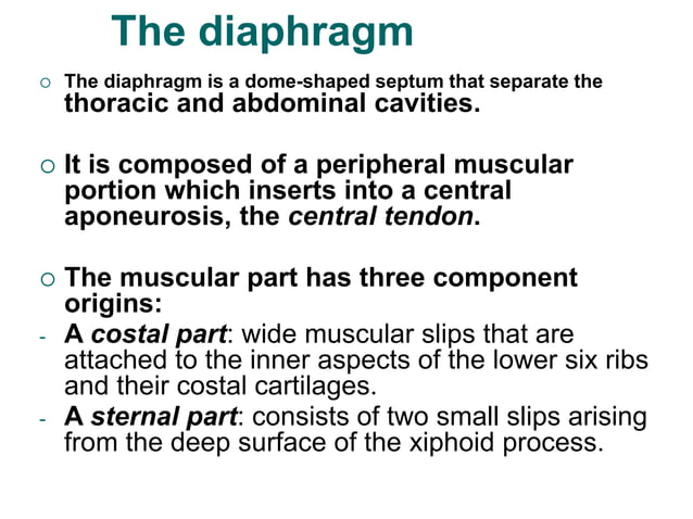 8.Posterior abdominal wall and Retroperitoneal Organs.pptx