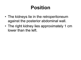8.Posterior abdominal wall and Retroperitoneal Organs.pptx