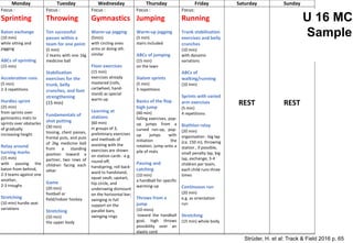 8.4 COR Training Planing - Microcycle.pptx