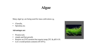 8. Single Cell Protein-II.pptx