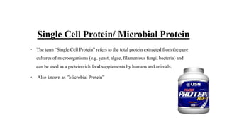 8. Single Cell Protein-II.pptx