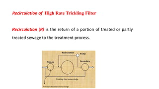 8. Trickling filters.pptx