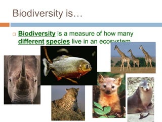 8.28.29-biodiversity_biomes_.ppt