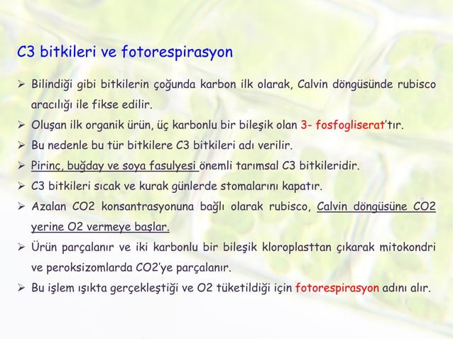 8. HAFTA FOTOSENTEZ.pdf
