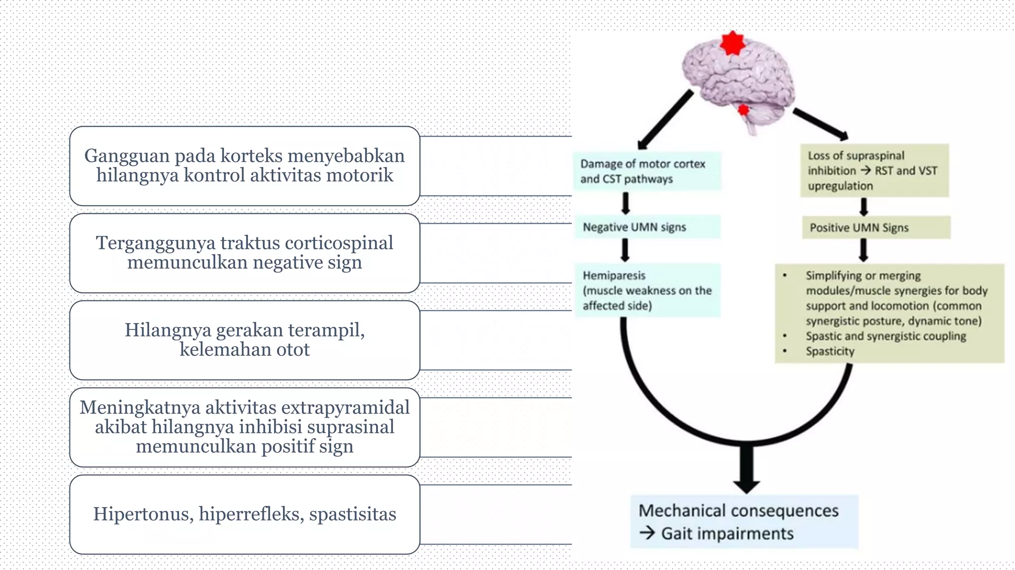 8. Gangguan Upper Motor Neuron (UMN).pptx