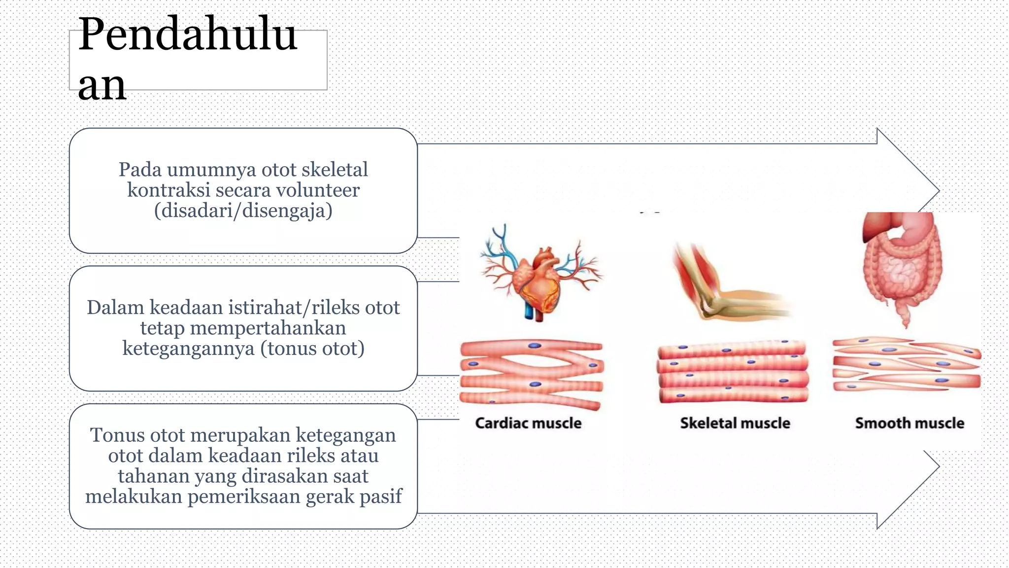 8. Gangguan Upper Motor Neuron (UMN).pptx
